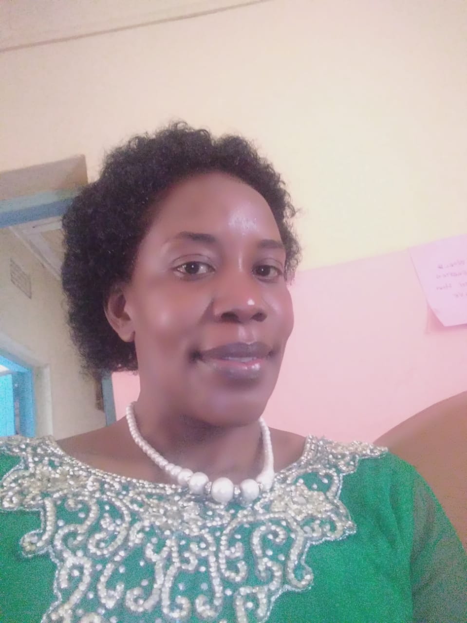 Join us at the RISE Action Festival: Lessons learnt from Kenya’s ...